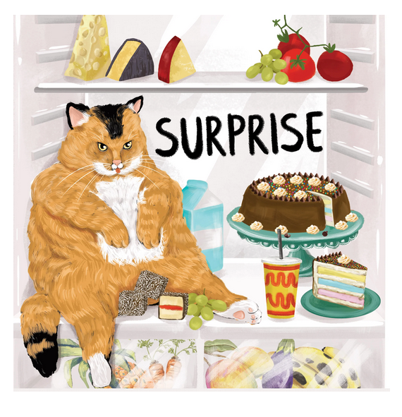 Greeting Card Fridge Surprise – Poppy & Cotton